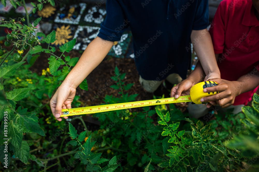 Diverse kids measuring in garden Stock Photo | Adobe Stock