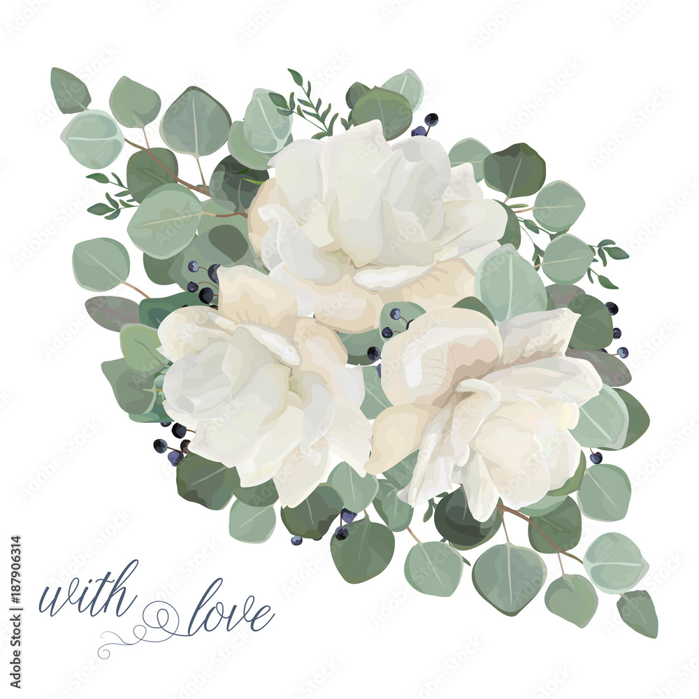 Eucalyptus Flower Vector