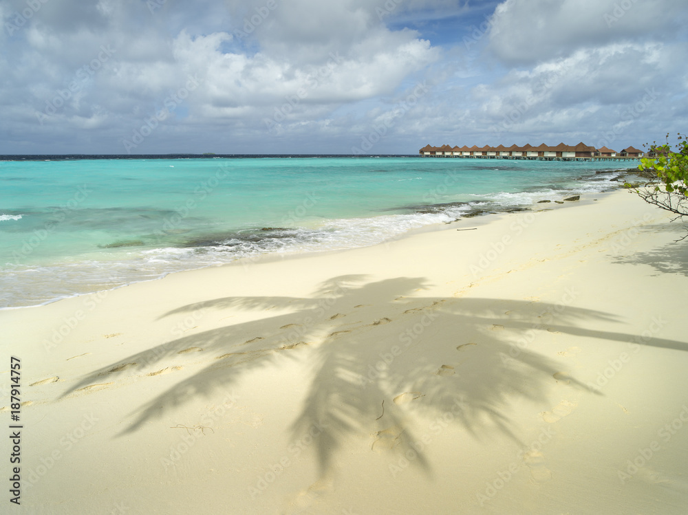 shadow of palm leaves on the sand beach in front of emerald water on ...