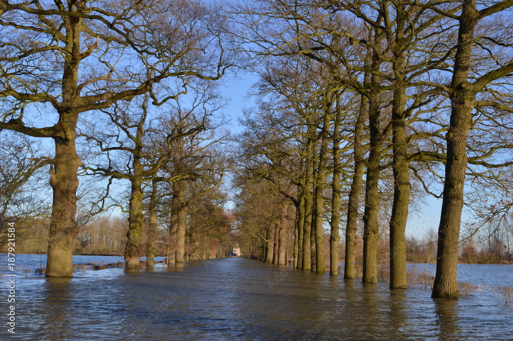overstroming rivier de IJssel over de oprijlaan met eiken van een ...