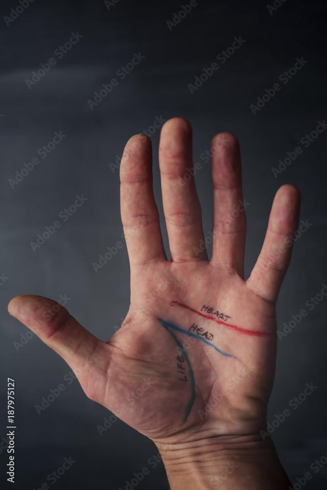 Lines on the palm of the hand Stock Photo | Adobe Stock