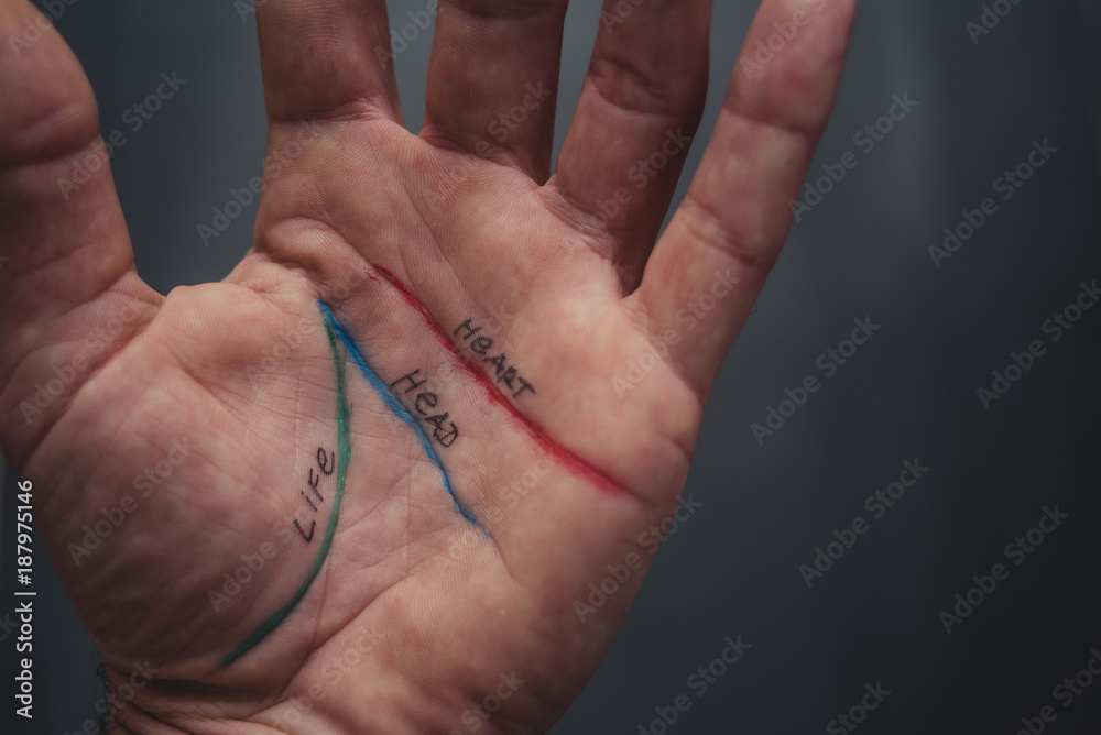 Lines on the palm of the hand close up Stock Photo | Adobe Stock