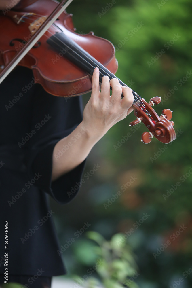 Violin Stock Photo | Adobe Stock