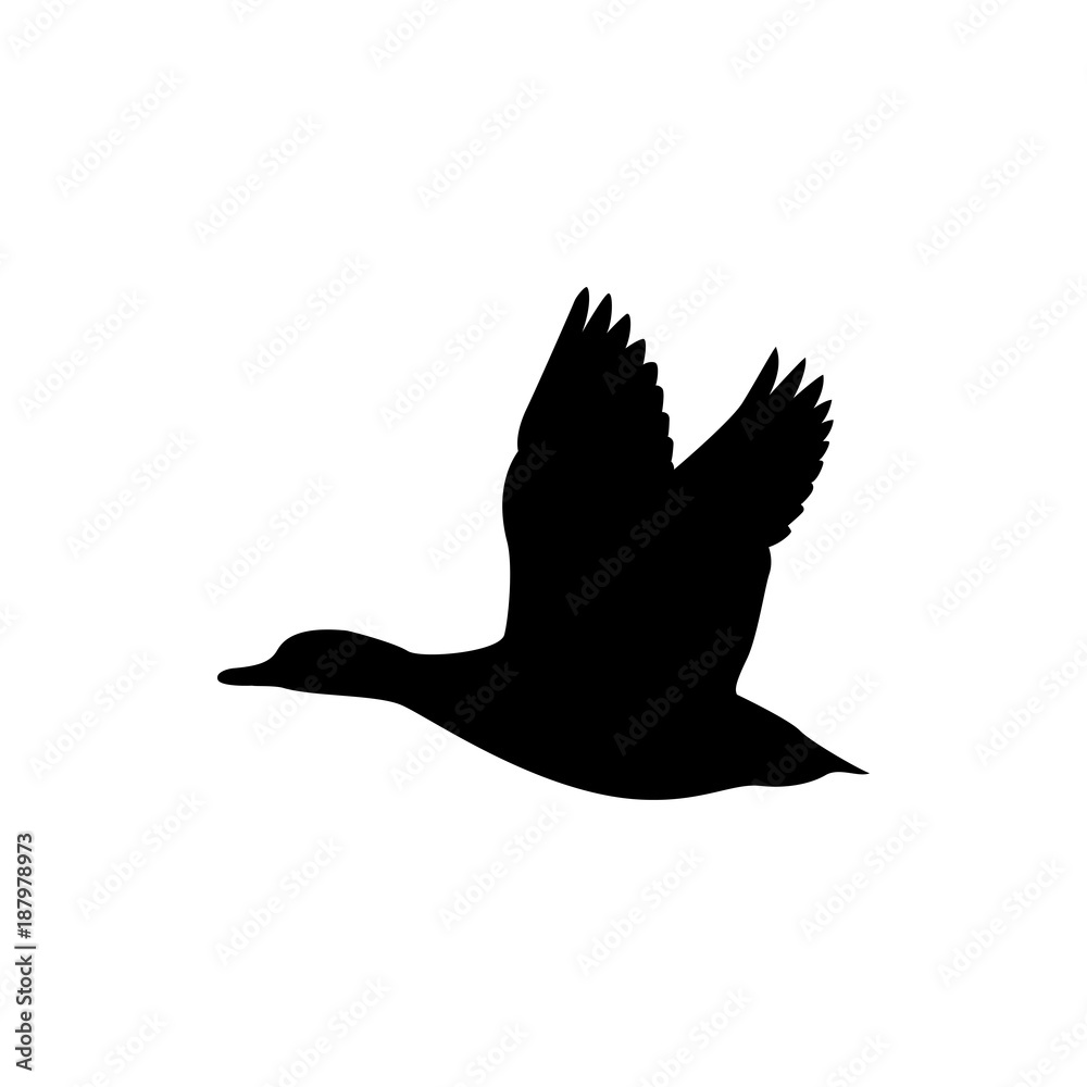 flying duck vector silhouette Stock Vector | Adobe Stock