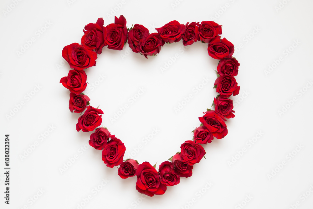 Roses Stock Photo | Adobe Stock