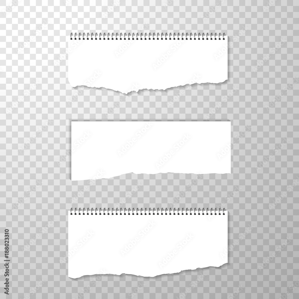 Horizontal Torned Off Piece of Paper with Spiral Bound. Empty Isolated ...