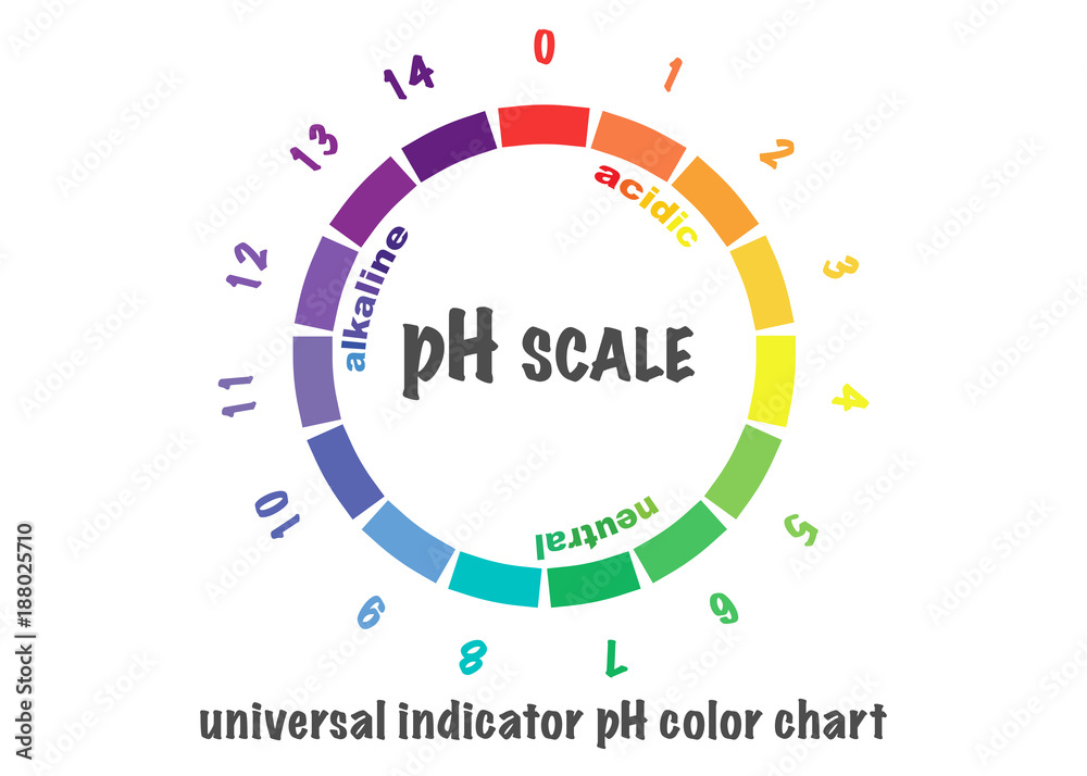 Vecteur Stock scale of ph value for acid and alkaline solutions ...