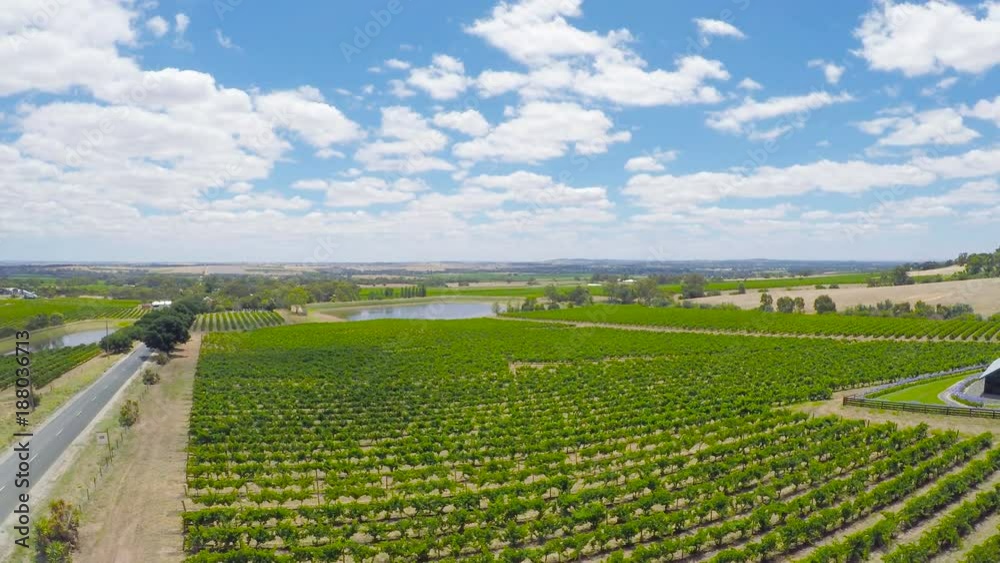 Drone aerial of the Barossa Valley, major wine growing region of South ...