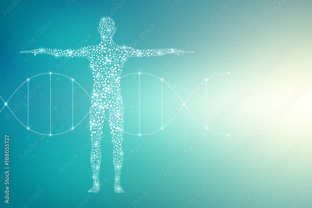 Abstract human body with molecules DNA. Medicine, science and ...