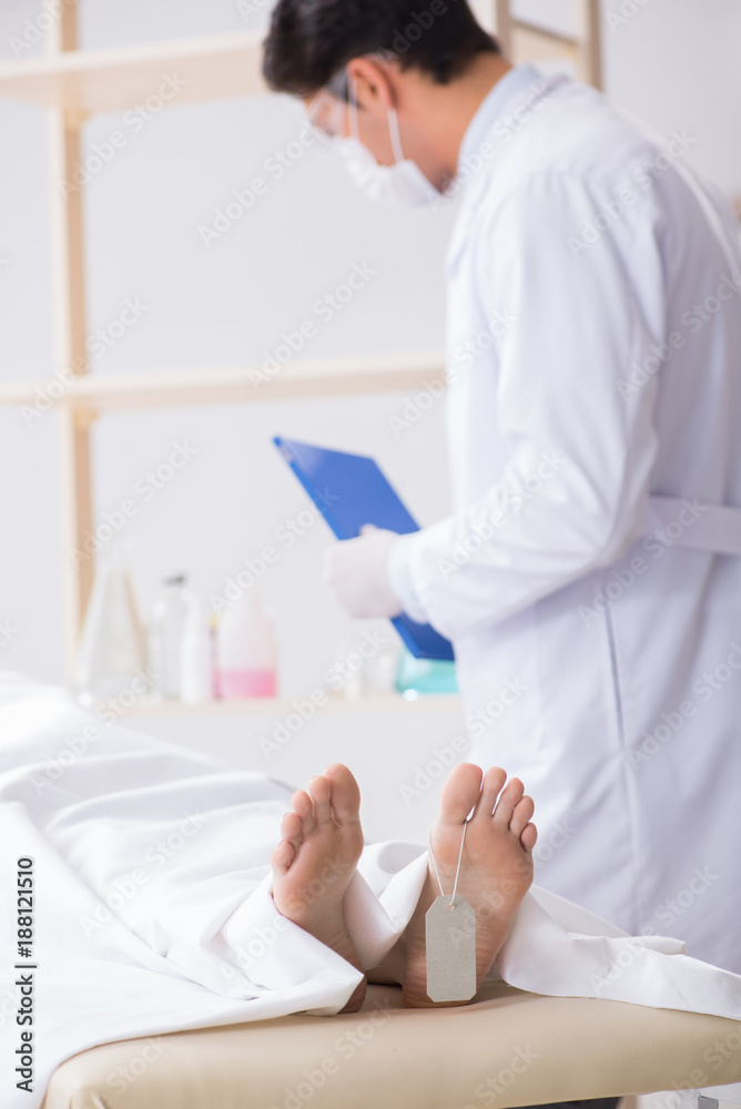 Poster Police coroner examining dead body corpse in morgue – Wall Art ...
