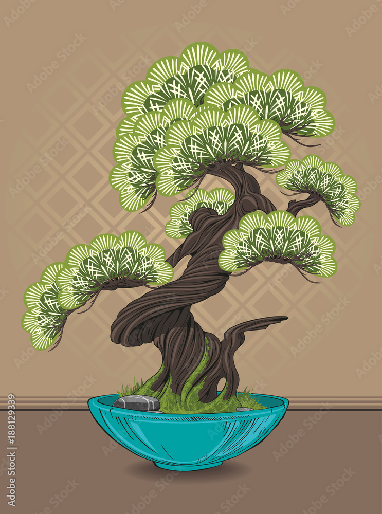 Bonsai pine decorative small tree growing in container vector ...
