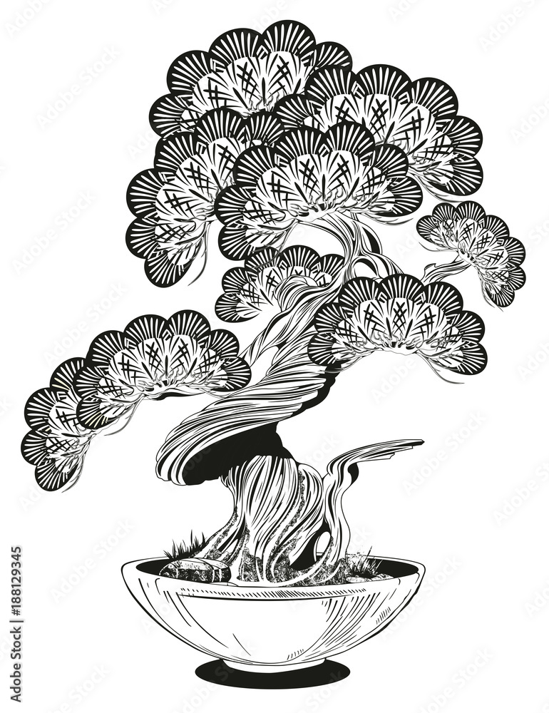 Bonsai pine decorative small tree growing in container vector ...