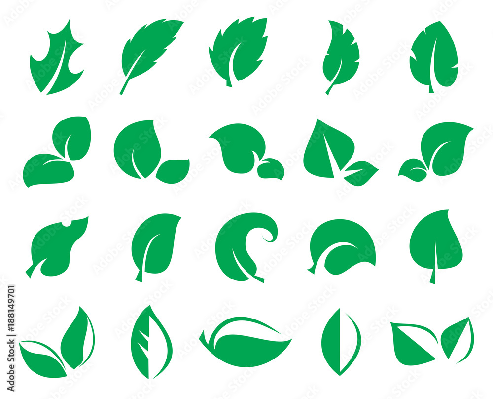 Leaf icons. Collection of 20 green symbols of leaves isolated on a ...