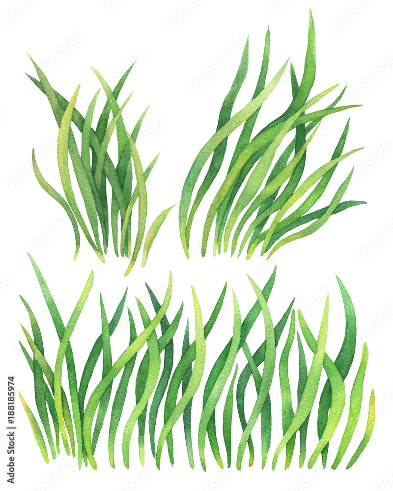 Set fresh green grass. Watercolor hand drawn painting illustration ...