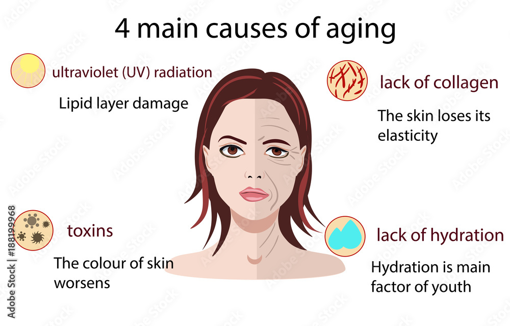 Causes of aging, vector illustration isolated on the white background ...