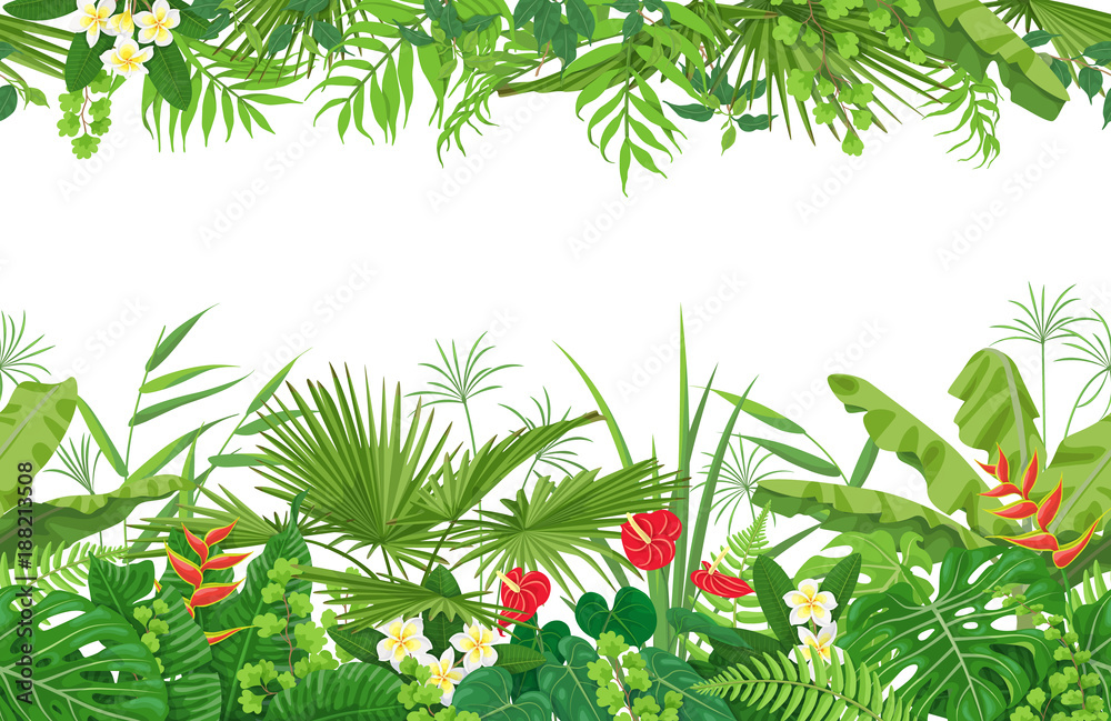 Tropical Plants Seamless Border Stock Vector | Adobe Stock