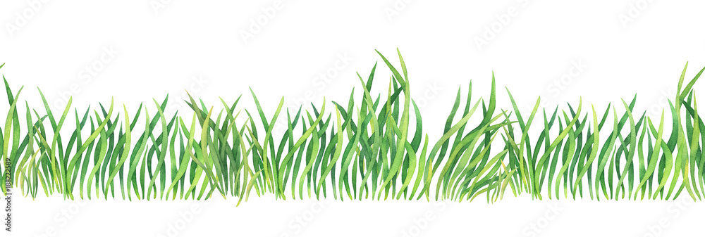 Fresh green grass - seamless pattern. Watercolor hand drawn painting ...