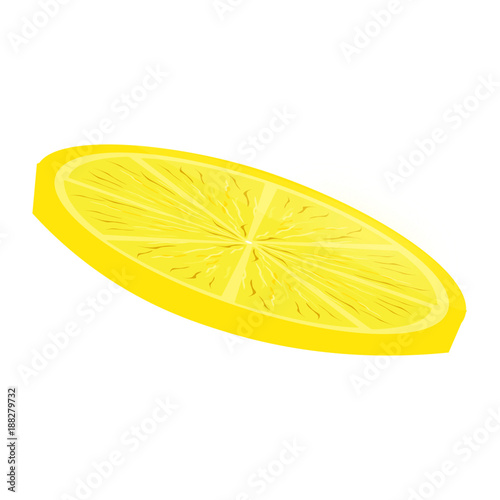 Lemon Slice Vector