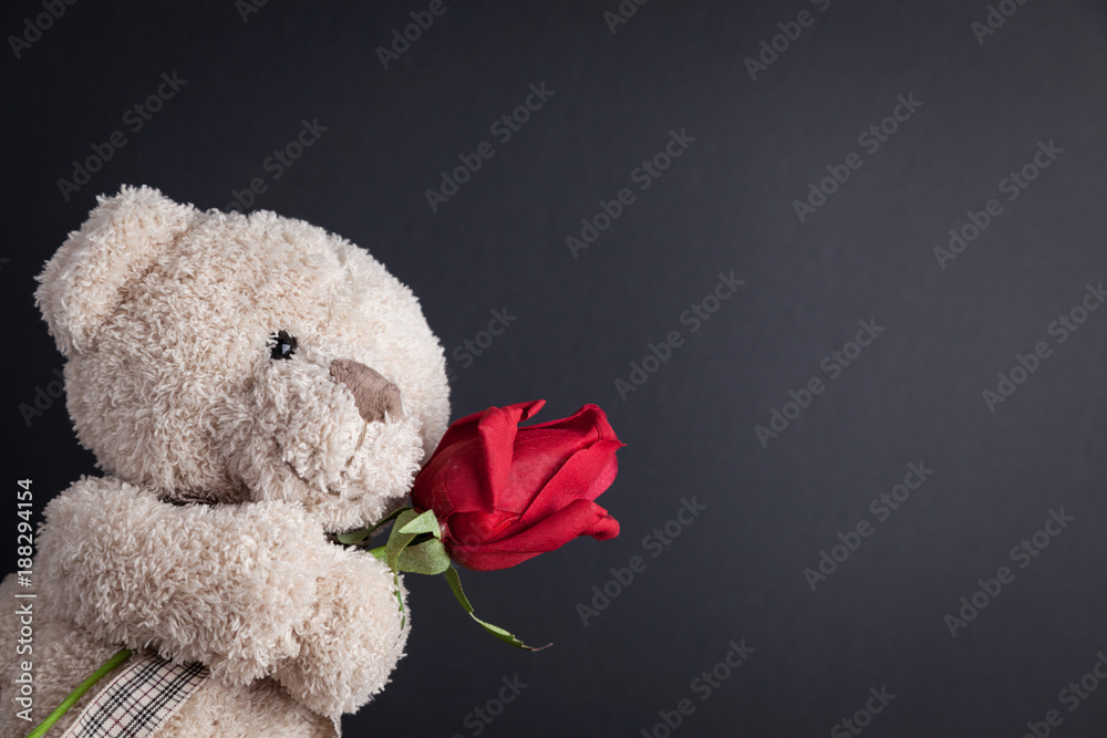 Teddy Bear holding a red rose in front of a blackboard Stock Photo ...