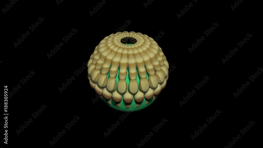 Transforming 3d Geometry Iris Flower Structure Opening Green Screen Center 3d Animation