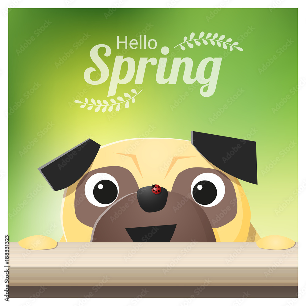 Hello Spring season background with pug dog looking at a red ladybug ...