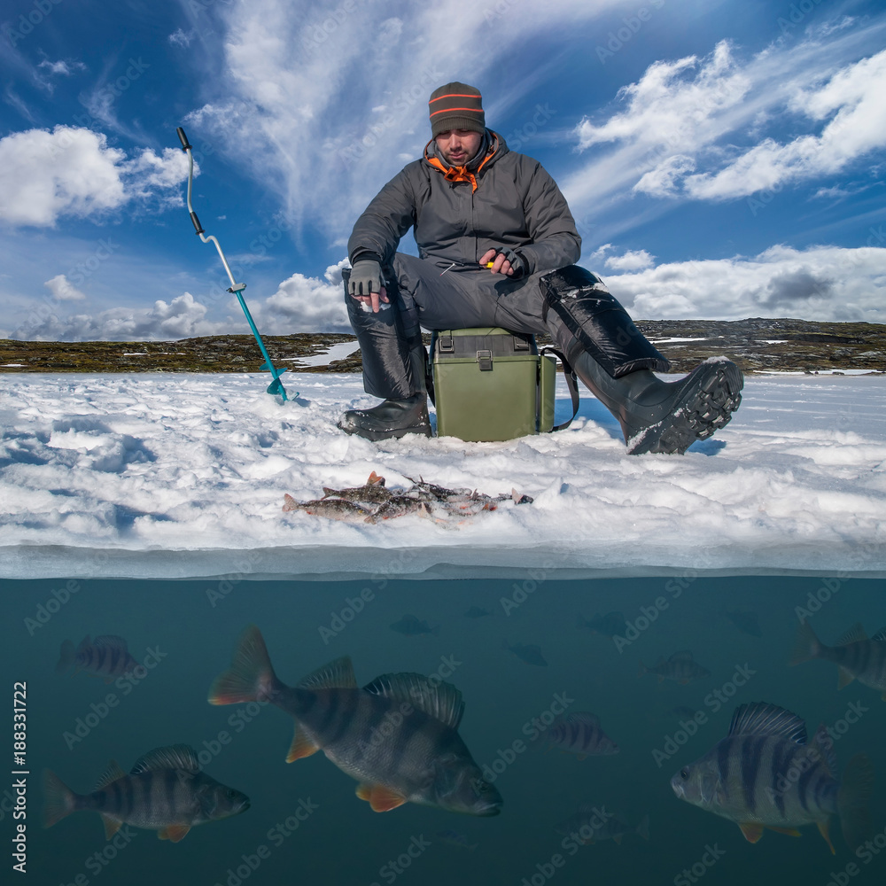 Winter fishing background. Fisherman in action. Catching perch fish ...