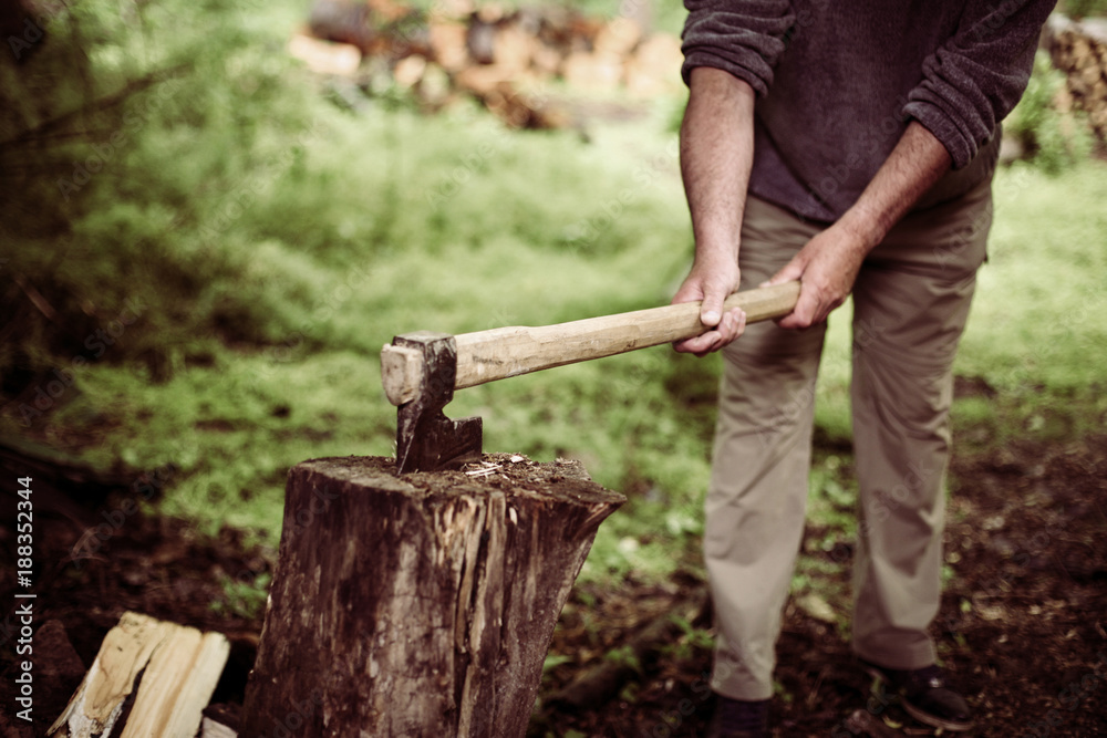 Woodcutting ax stuck in a log. Stock Photo | Adobe Stock