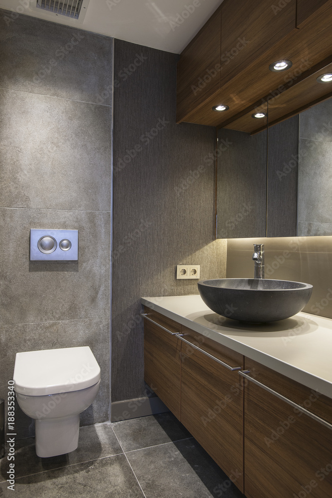Modern Hotel Toilet Design