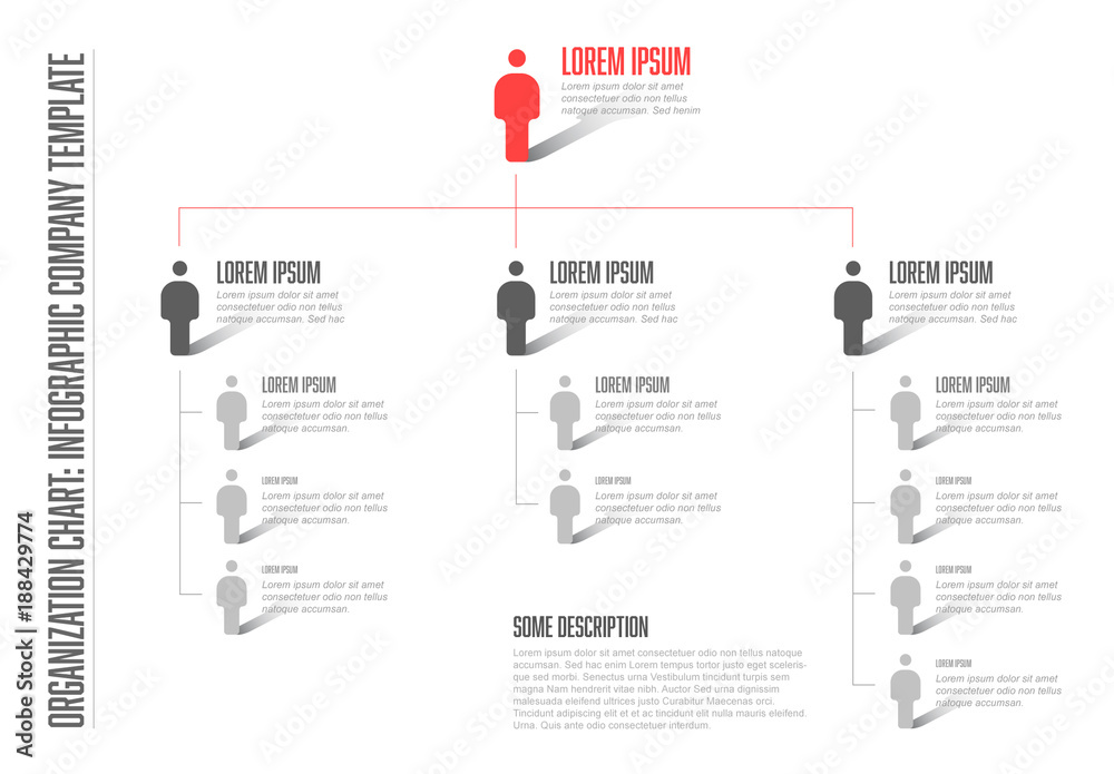 Organizational Chart Infographic Layout 2 Stock Template | Adobe Stock