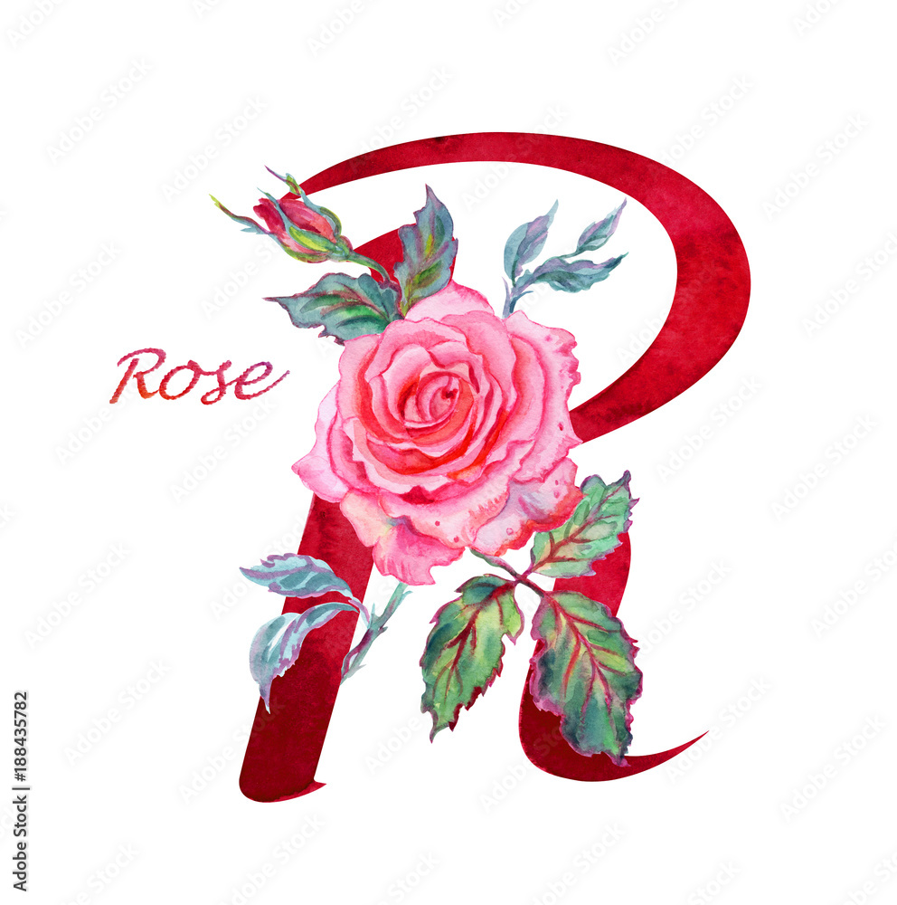 Letter "R" with rose, watercolor drawing on white background isolated ...