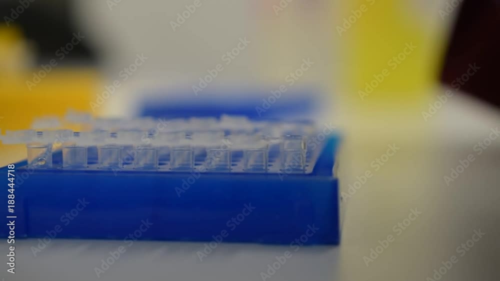 scientist using one channel pipette to transfer DNA liquid. NGS ...
