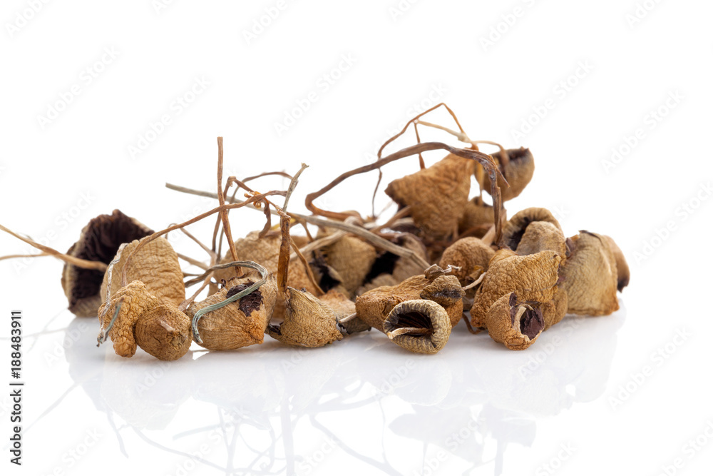 Dried Liberty Caps
