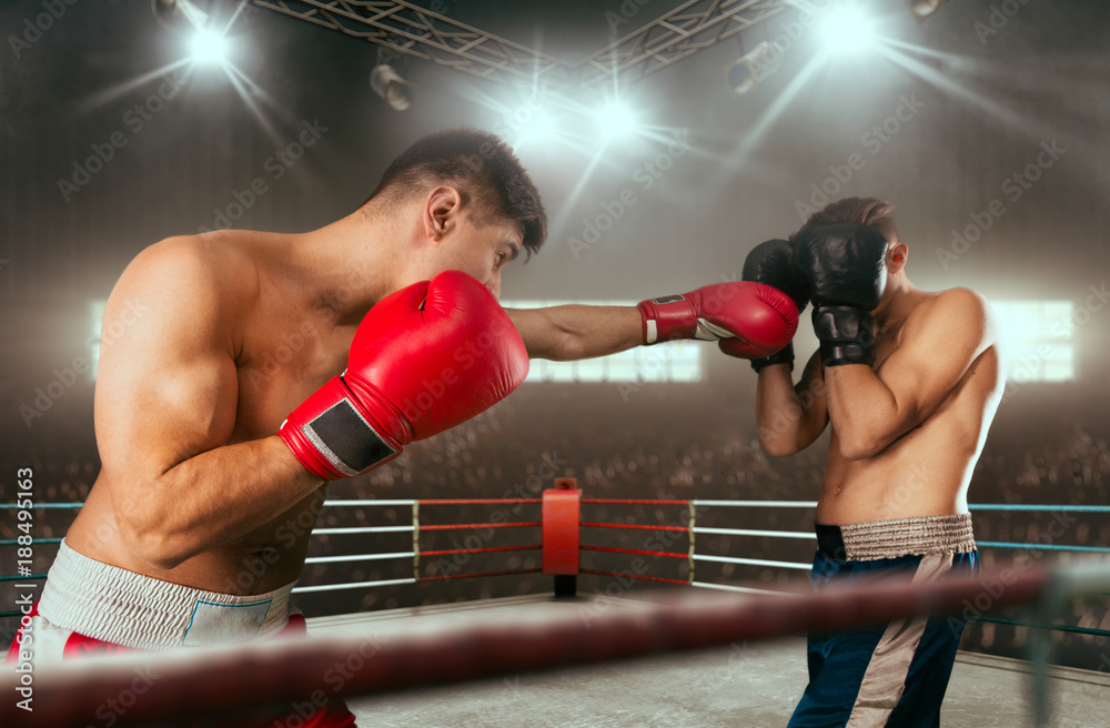 Boxing sparring boxers Stock Photo | Adobe Stock