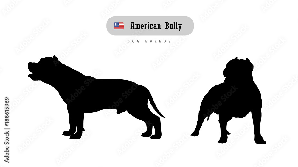 Dog breed American Bully. Side and front view silhouettes isolated on ...