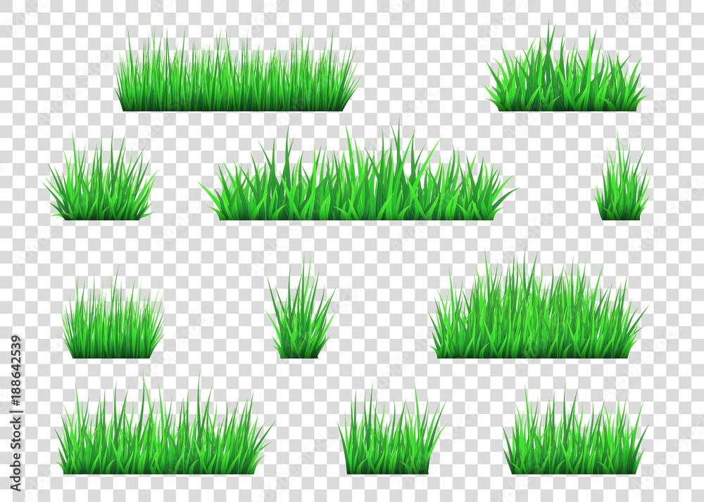 Green grass and bushes isolated on transparent background. Stock Vector ...