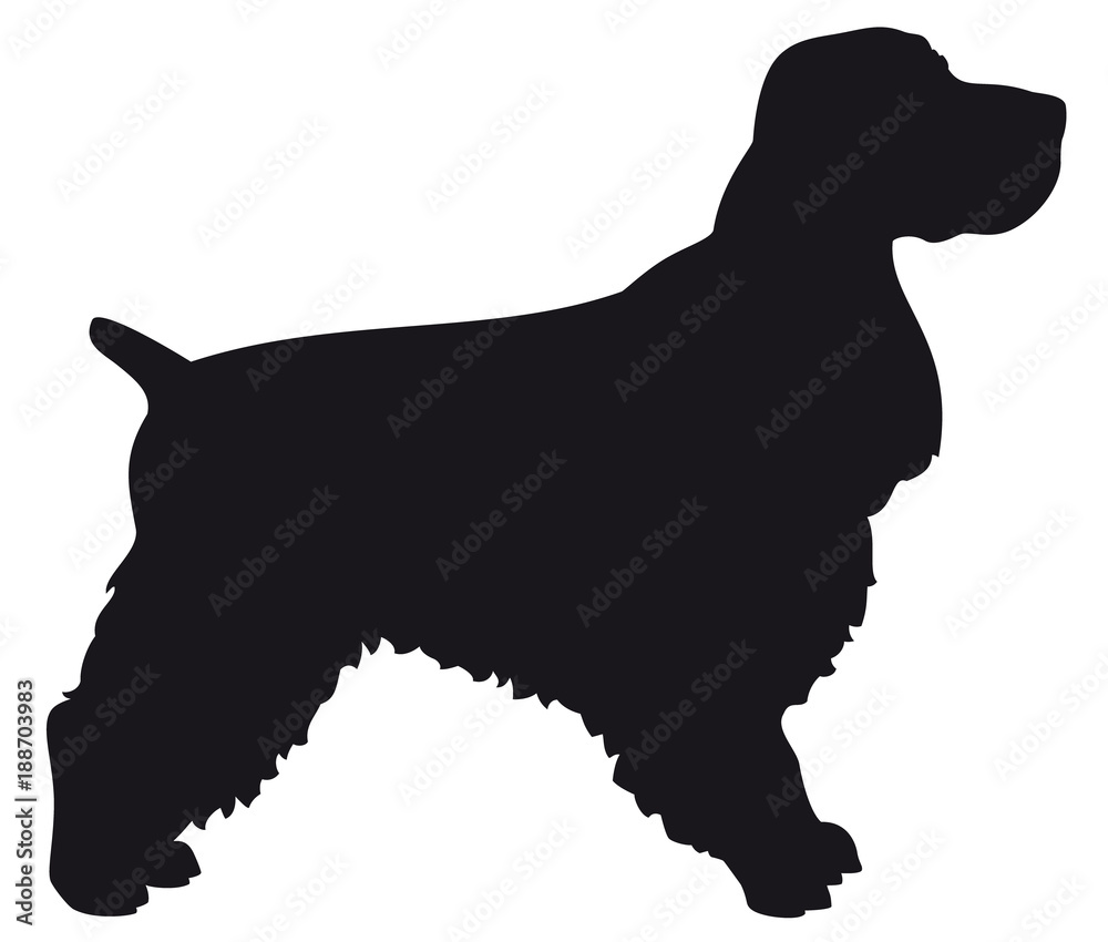 Cocker Spaniel - Vector black dog silhouette isolated Stock Vector ...