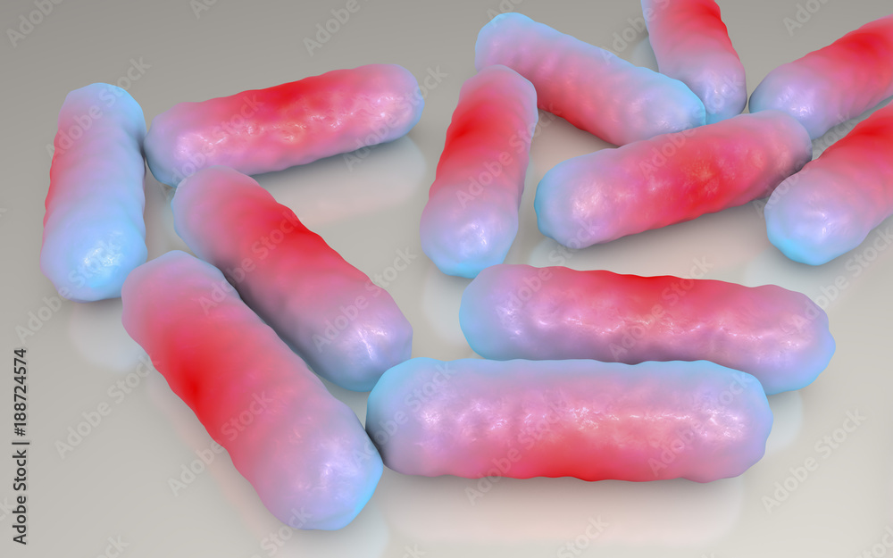 Escherichia coli bacteria, 3D illustration. Gram-negative bacteria ...