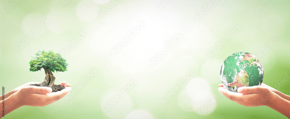 Earth Day concept: Two human hands holding big tree and earth globe ...