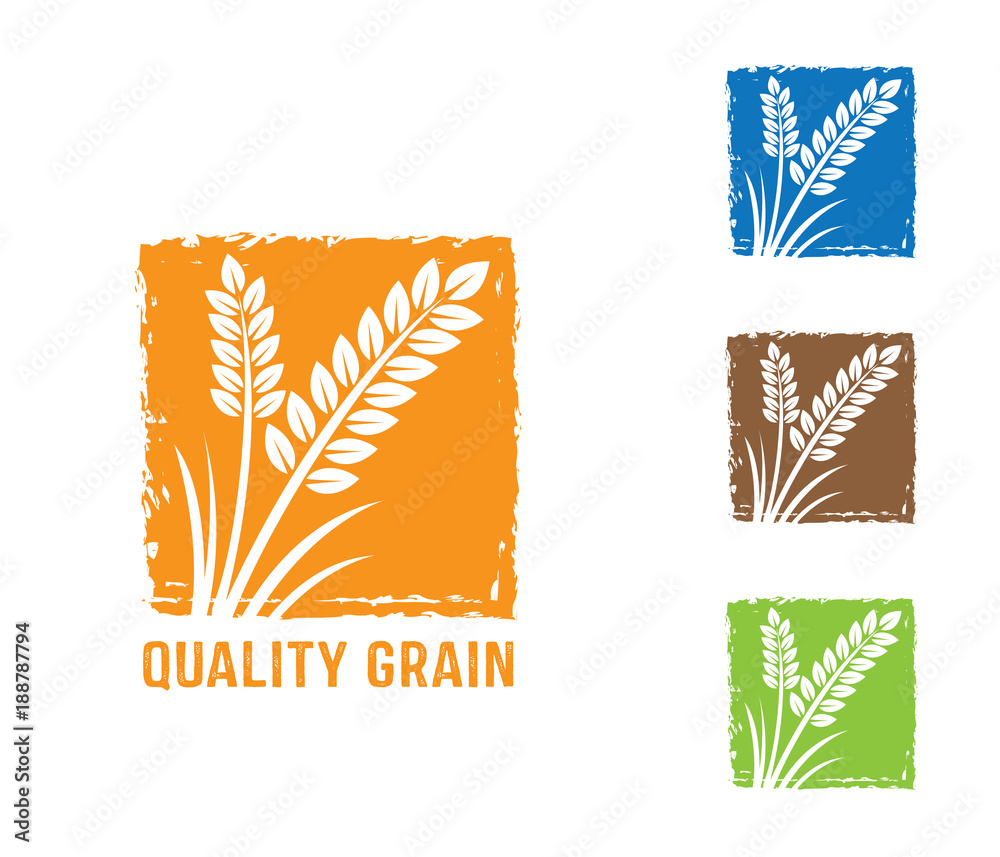 Grain Seed Vector