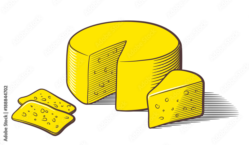 Stylized colored vector illustration of cheese. Cheese wheel and slices ...