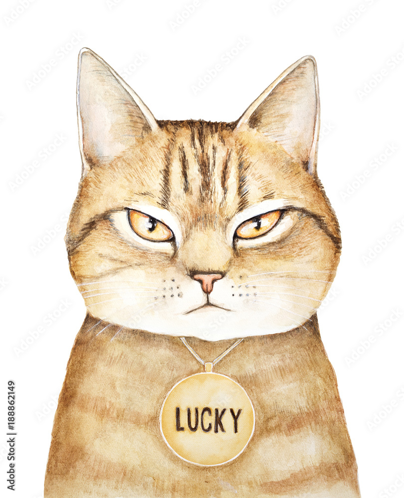 Cat Front View Drawing