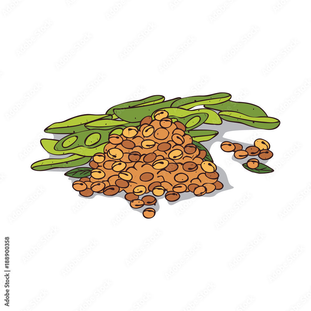 Soybean Clipart