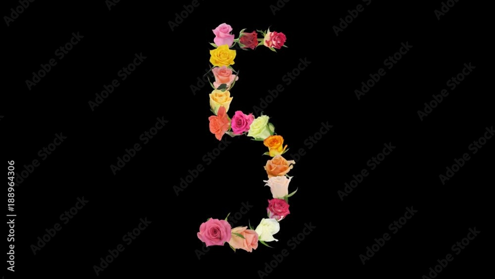 Montage of opening rainbow roses time-lapse in number 5 shape in PNG+ ...