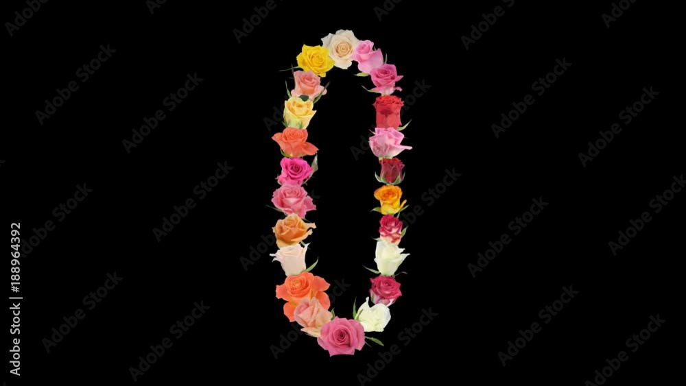 Vidéo Stock Montage of opening rainbow roses time-lapse in number 0 ...