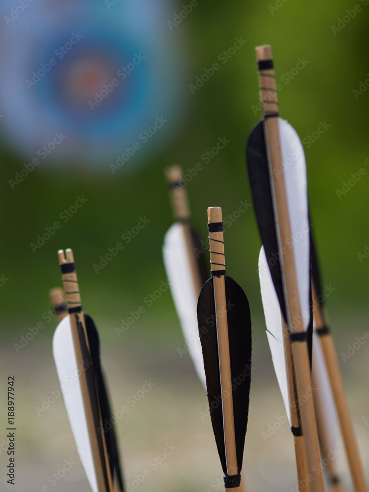 Fotka „hand crafted arrows in medieval style each arrow with black and ...