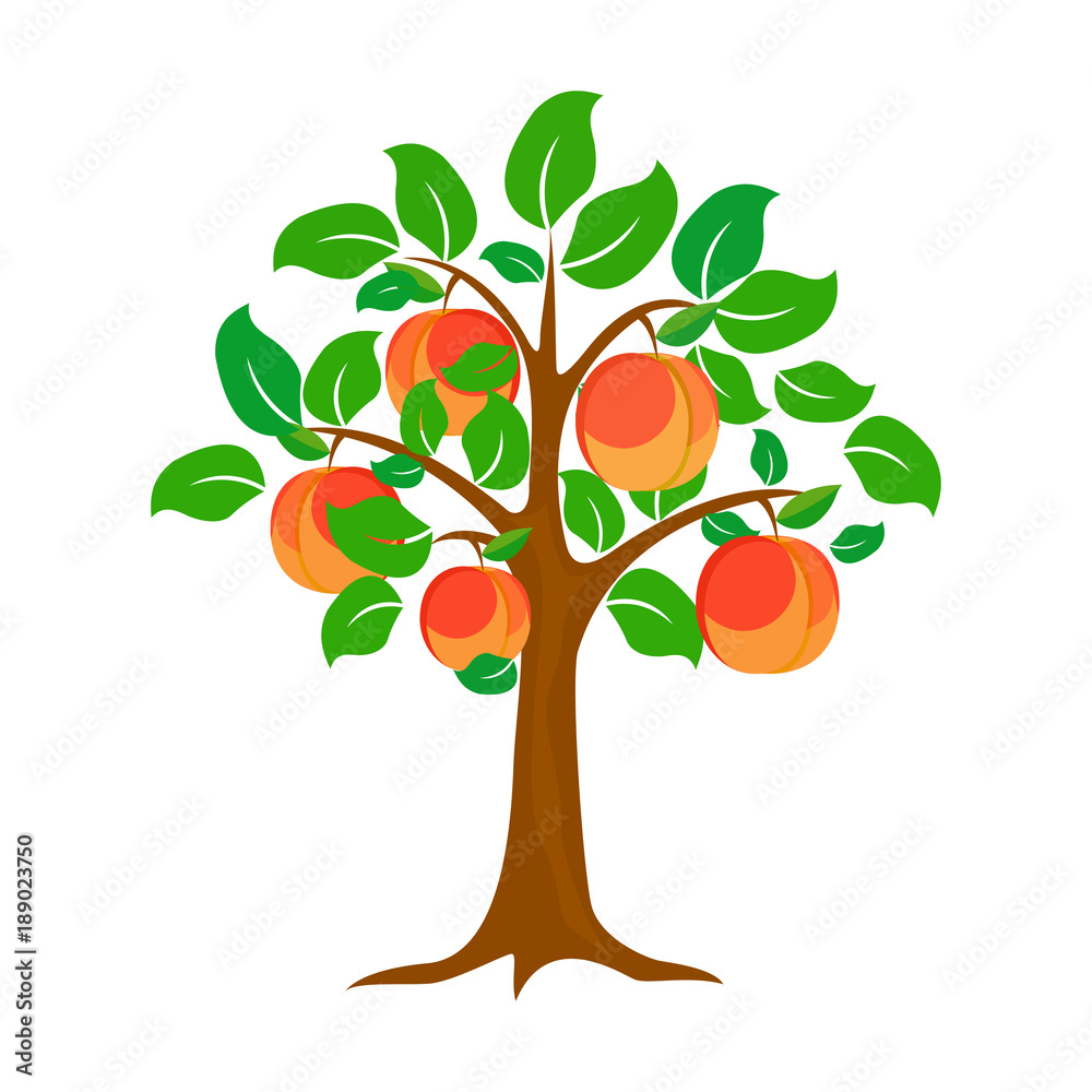 Tree of a peach. Vector design, background, symbol, abstract, icon ...