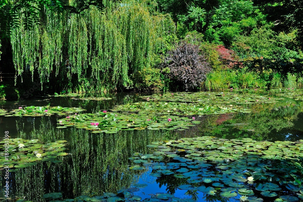 Giardini di casa Monet a Giverny, Normandia Stock Photo | Adobe Stock