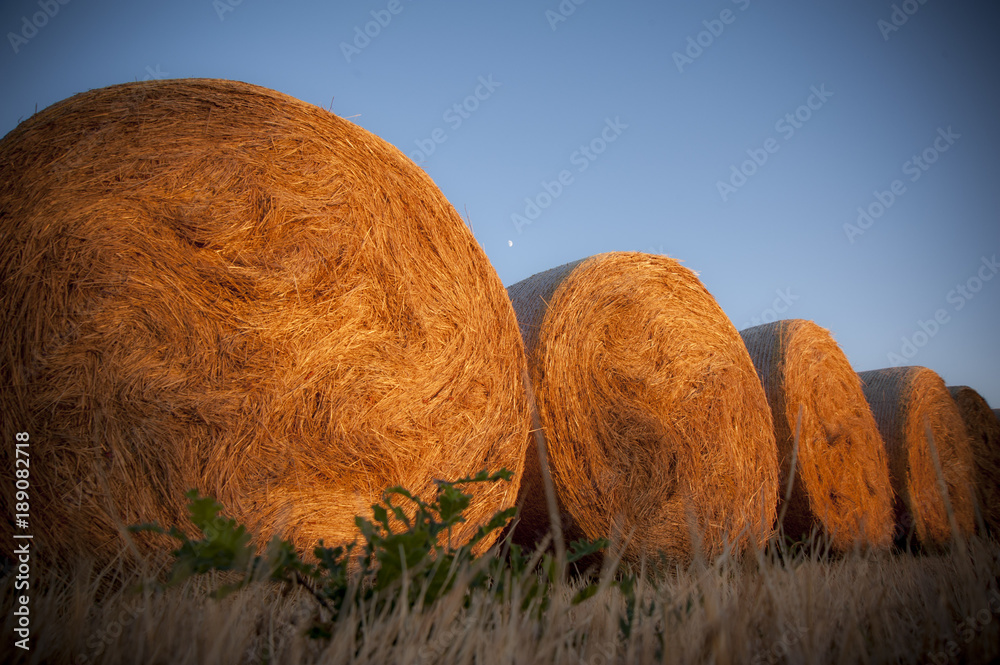 Poster hay bales – Wall Art | UkPosters