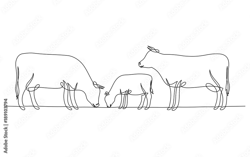 Continuous line drawing of cow and calf Stock Vector | Adobe Stock