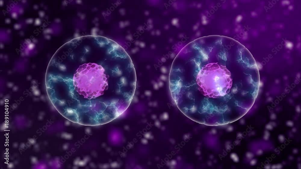 microbiology background cell division with, purple blood cells or neon ...
